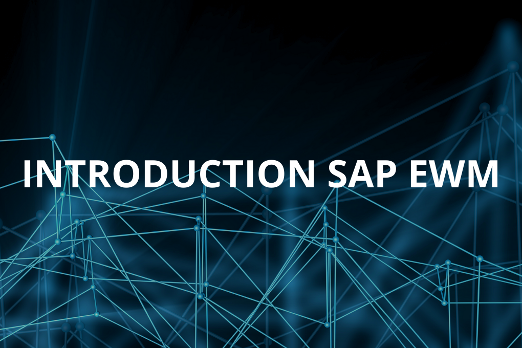 INTRODUCTION SAP EWM - IT SOLUTION R.EN